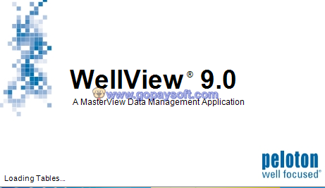 WellView 9.0钻完井数据分析管理软件 | GoPaySoft 与您共同关注最新软件资讯
