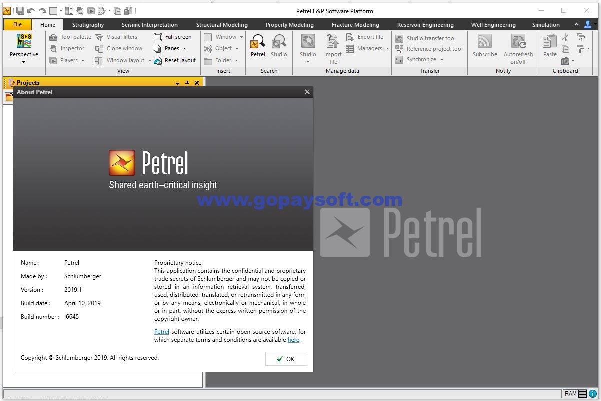 Schlumberger Petrel 2019.1 | GoPaySoft 与您共同关注最新软件资讯