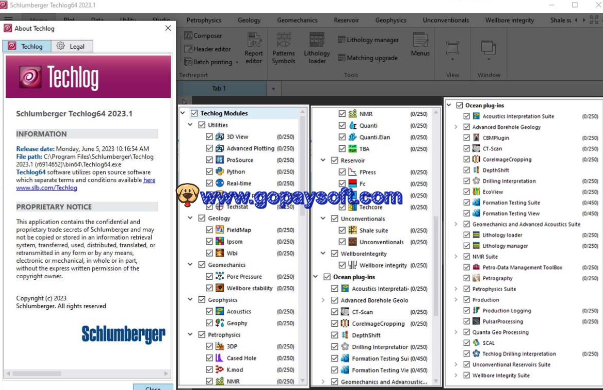 测井解释平台 Schlumberger Techlog 2023.1+Plugins x64 完美激活版 | GoPaySoft 与您共同关注 ...